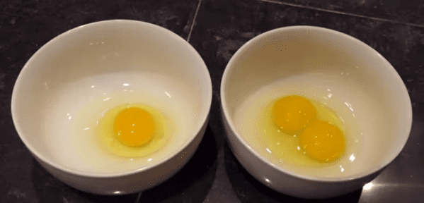 What It Means When You Find a Double Egg Yolk - HubPages