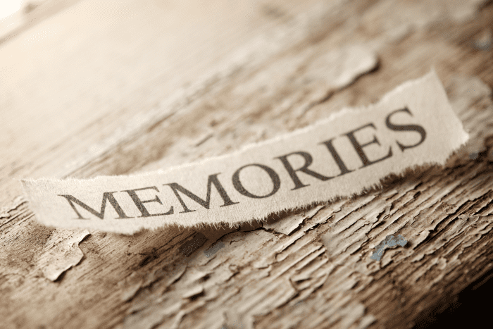All You Need to Know About Memory: Exploring Factors, Strategies, and ...