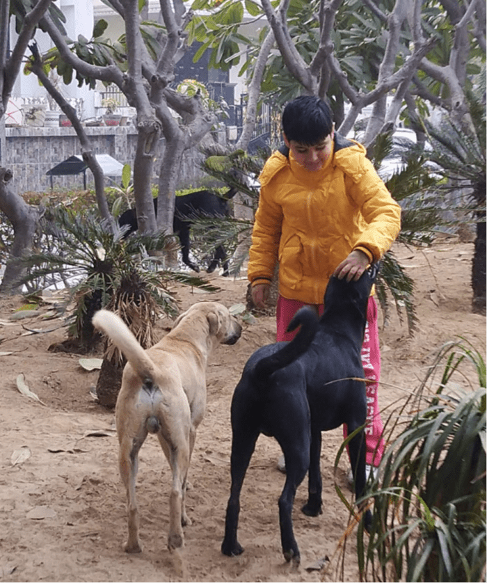 Desi Kutta or Indian Pariah Dog: Breed Information, Pictures and ...