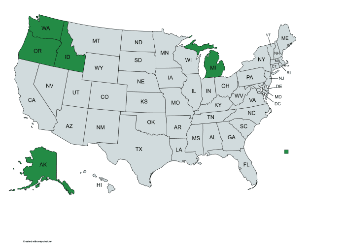 Turning Left at a Red Light: When and Where This Is Legal in the US ...