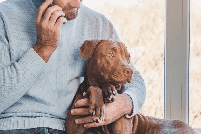 How To Help Your Fearful Dog at the Vet - HubPages