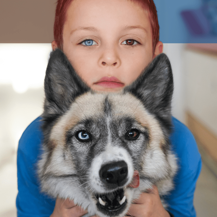 Mysterious Beauty: The Fascinating Phenomenon of Heterochromia in the ...