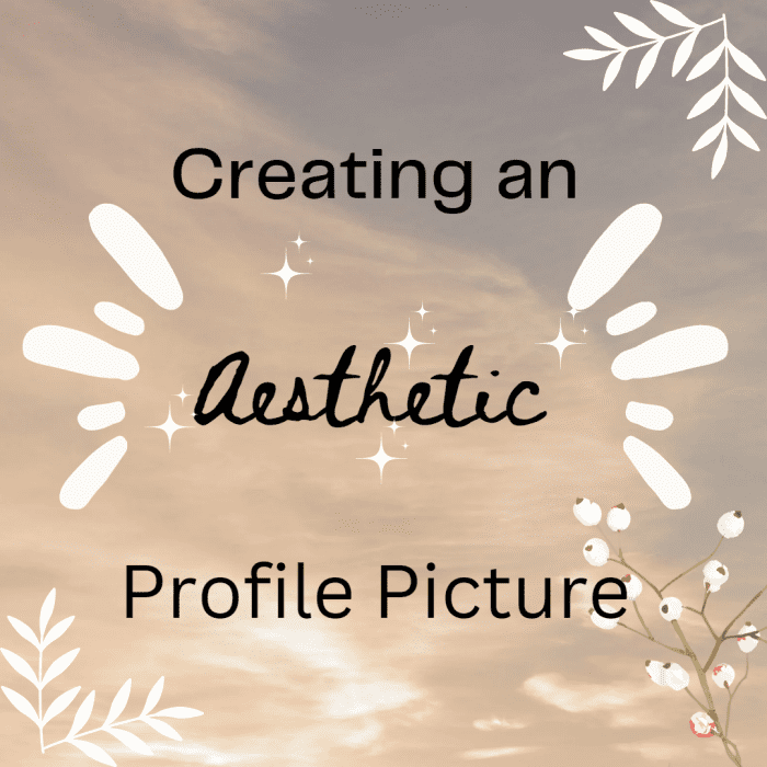 How to Create an Aesthetic PFP: The Ultimate Guide - HubPages
