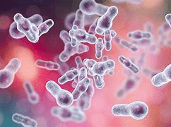 Understanding Clostridioides difficile Infection: Causes, Symptoms and ...