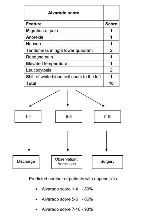 Appendicitis: Causes, Symptoms, Diagnosis, and Treatments - HealthProAdvice