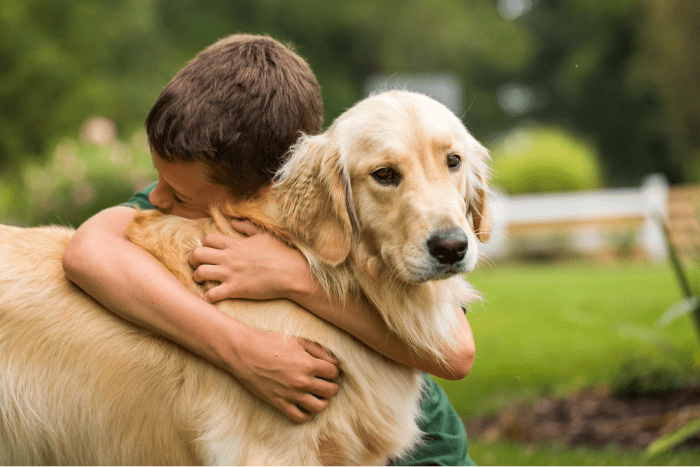 Worst and Best Dog Breeds for a Child on the Autism Spectrum - PetHelpful