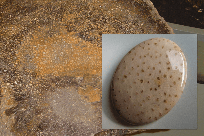 Interesting Rocks, Minerals, and Gemstones Found in Texas - HubPages