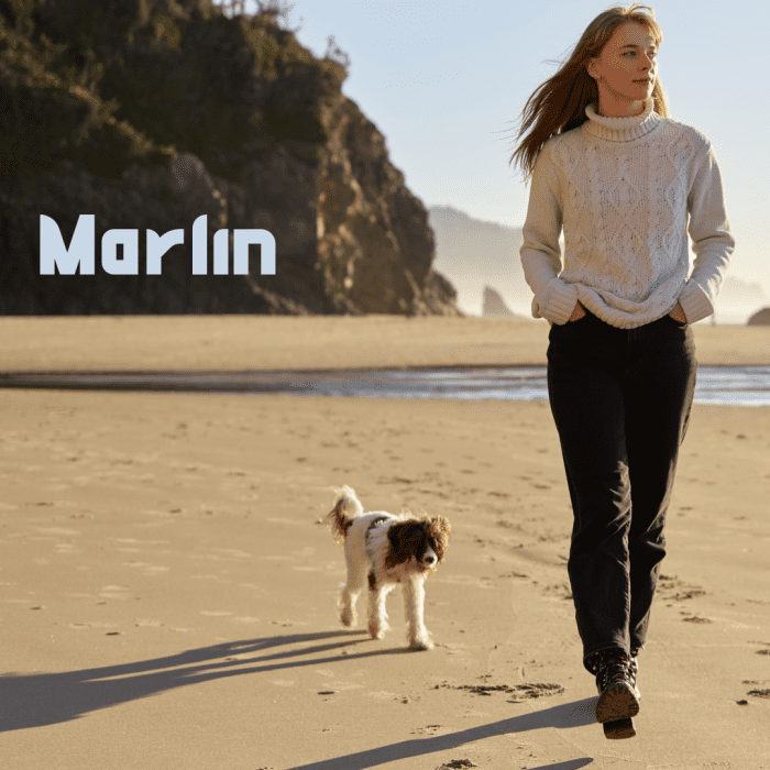 150 Ocean Names For Dogs PetHelpful 150 Ocean Names For Dogs PetHelpful