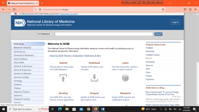 BLAST in Bioinformatics; Its Uses, Application & Function - HubPages