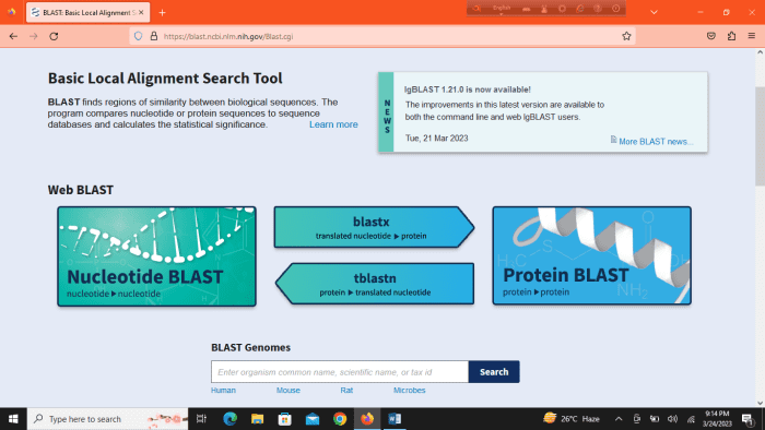 BLAST in Bioinformatics; Its Uses, Application & Function - HubPages