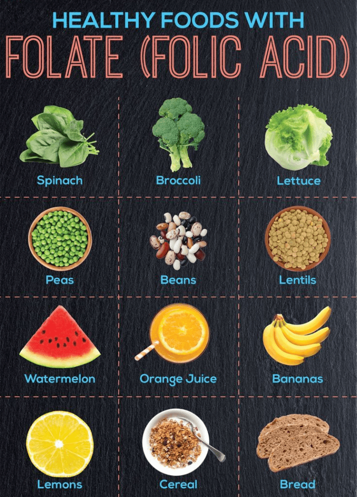 Importance of Nutritional aspects of folic acid in human life - HubPages