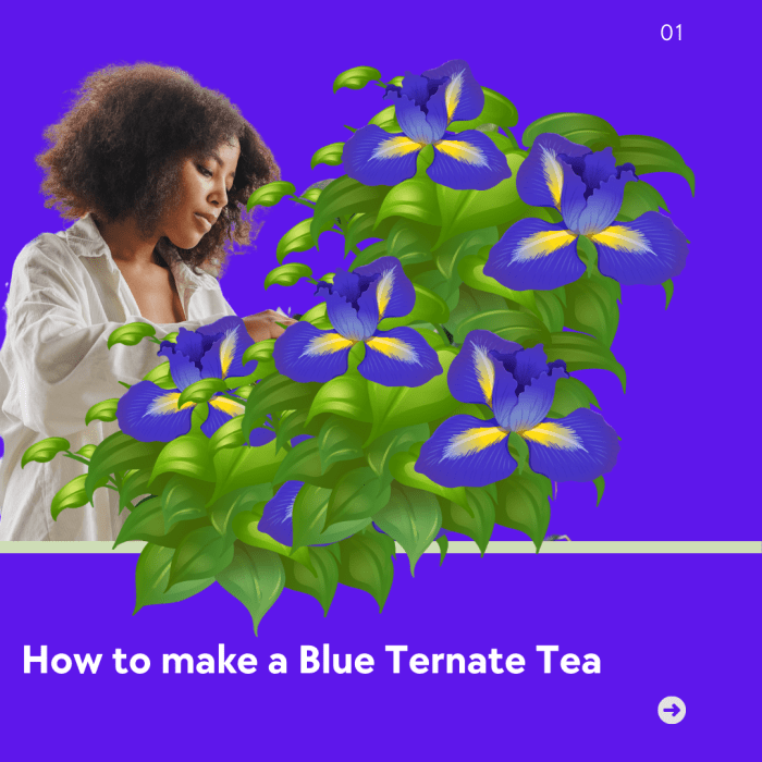 How to make a Blue Ternate Tea - HubPages
