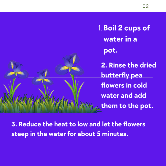 How to make a Blue Ternate Tea - HubPages