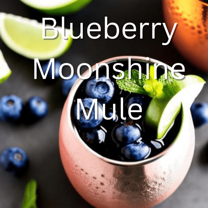 Blueberry Moonshine Mule - HubPages