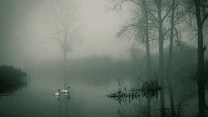 What Is Symbolism? Types and Examples of Symbolism - HubPages