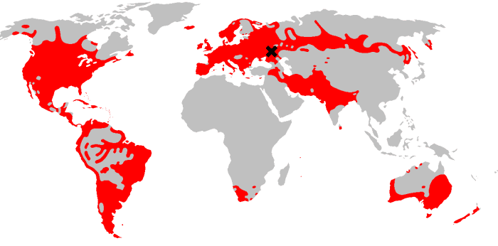 The 14 Major Language Families and Their Evolution - HubPages