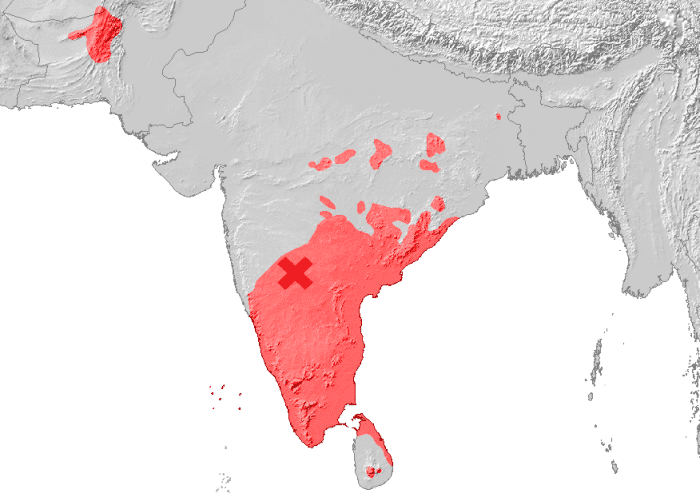 The 14 Major Language Families and Their Evolution - HubPages