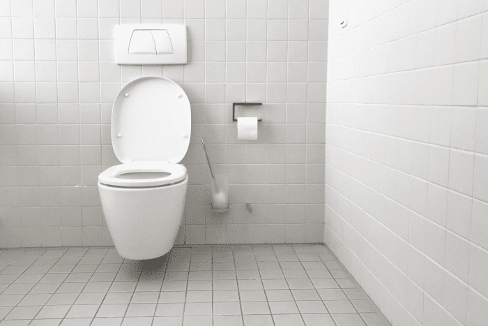 What Are the Parts of a Toilet? (With Diagram) - HubPages