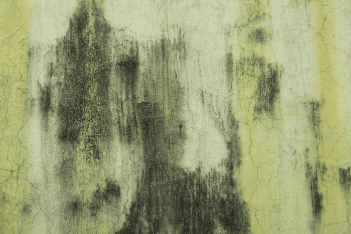 Top 10 Mold-Resistant Building Materials - HubPages