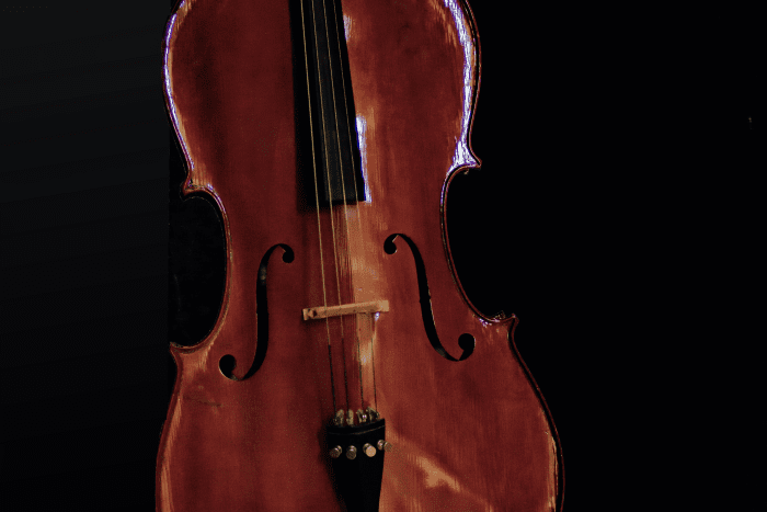 10 Great Female Cellists - HubPages