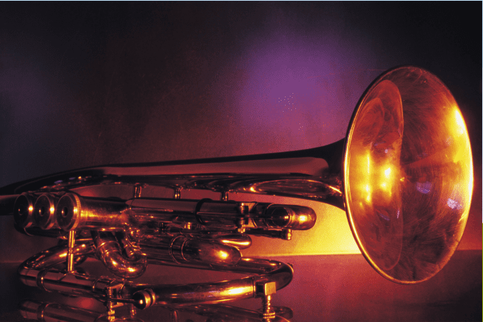 Mouthpiece Buzzing for Trumpet - HubPages