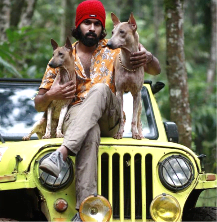 Seven Indian Dog Breeds - Available For Free Adoption - HubPages