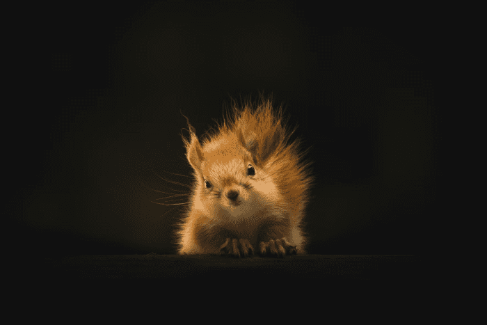 100+ Funny and Creative Answers to "Why Are You so Cute?" - HubPages