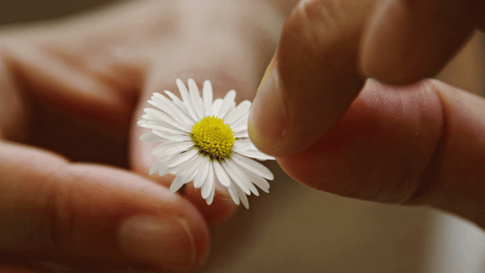 Does He Like Me? 5 Ways to Know if a Guy Is Interested - HubPages