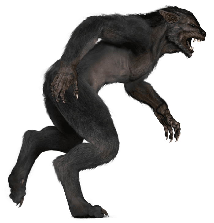 The Mysterious Shapeshifting Enigma of the Navajo Skinwalker - HubPages