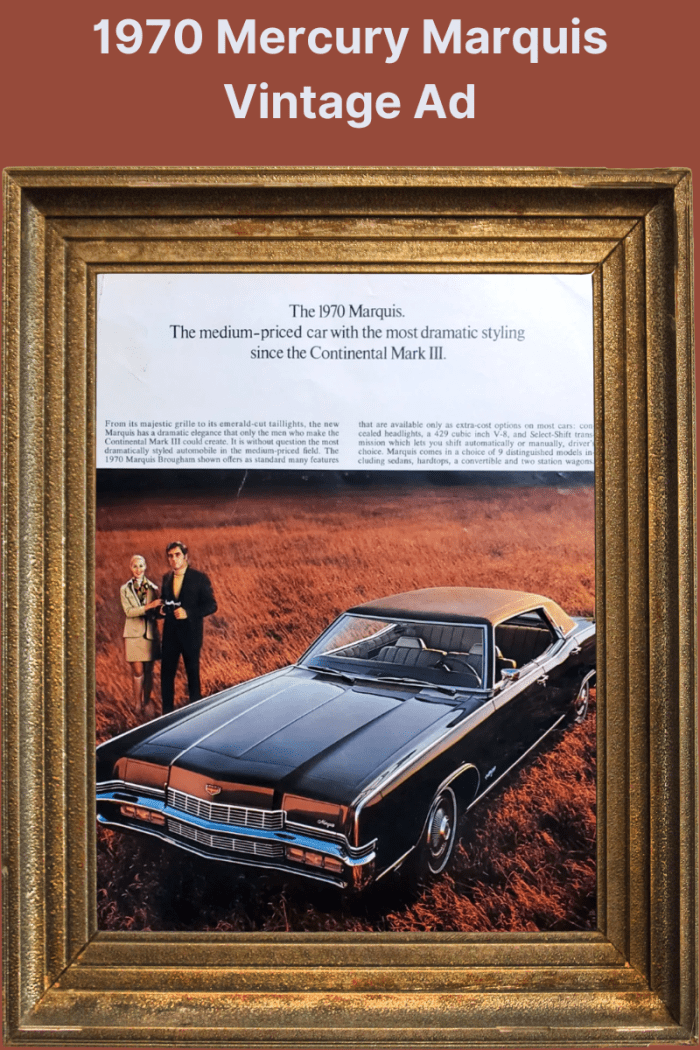 Old Vintage Magazine Ads - so Many Uses yet so Little Time - HubPages