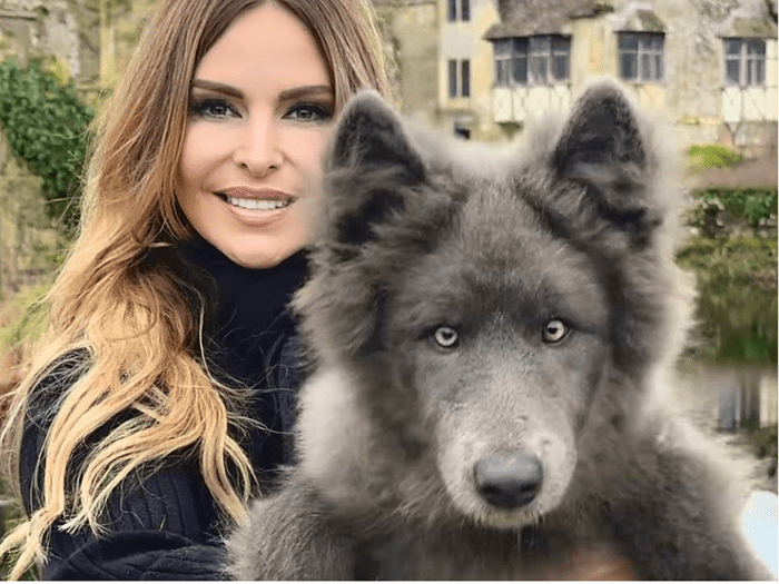 Five Russian Dogs Banned or Restricted in Other Countries - HubPages