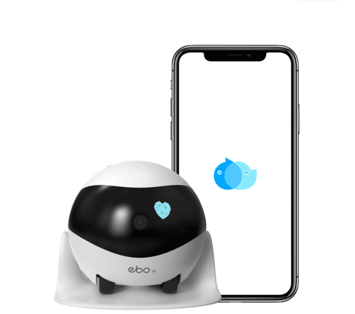 The EBO Is Your Cat’s Smart Companion - HubPages
