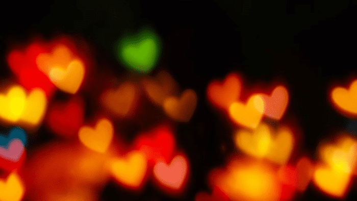 Why Do People Need Love in Their Lives? - HubPages