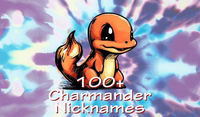 100+ Charmander Nicknames - HubPages