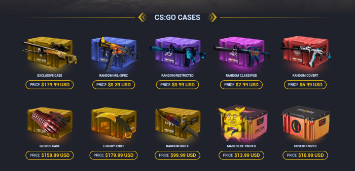 Best CS2 Case Opening Sites - HubPages