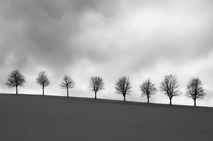 6 Essential Tips for Beginner Photographers to Capture Stunning Images ...