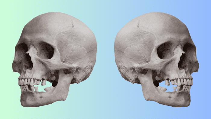 Six Skulls: Unknown Victims in Texas - HubPages