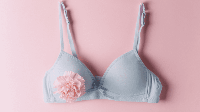 What Is the Purpose of a Bra? Is It Necessary to Wear? - HubPages
