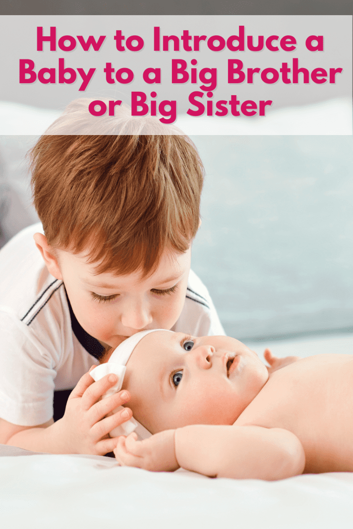 How to Introduce a Baby to a Big Brother or Big Sister - HubPages