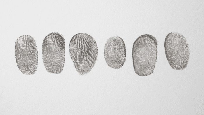 Fingerprint Science Project for Kids - HubPages