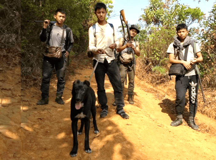 Owning a Haofa Tangkhul Hui Dog – 15 Things To Know About - HubPages