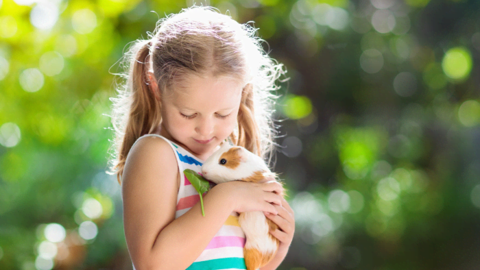 What Can Children Learn From Looking After a Pet? - HubPages