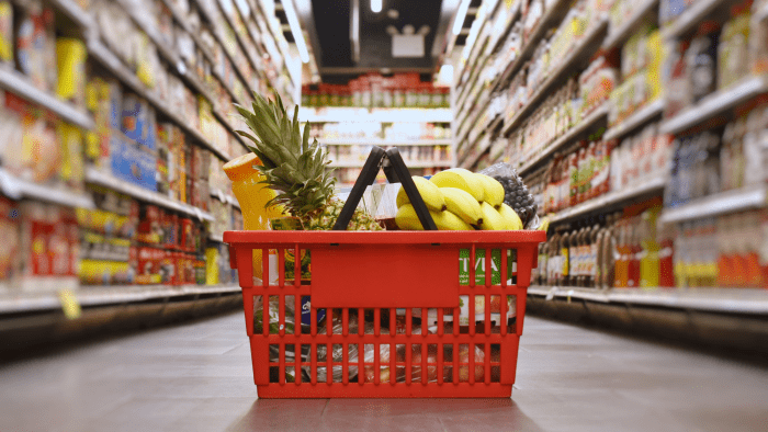 Field Trip Fun at Publix - HubPages