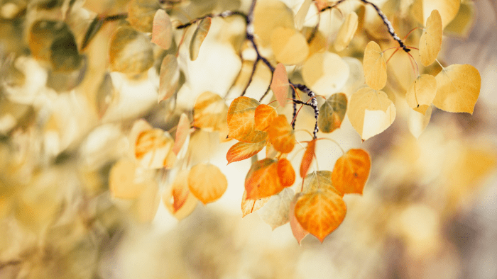 30 Baby Name Ideas for Girls and Boys Born in September - HubPages