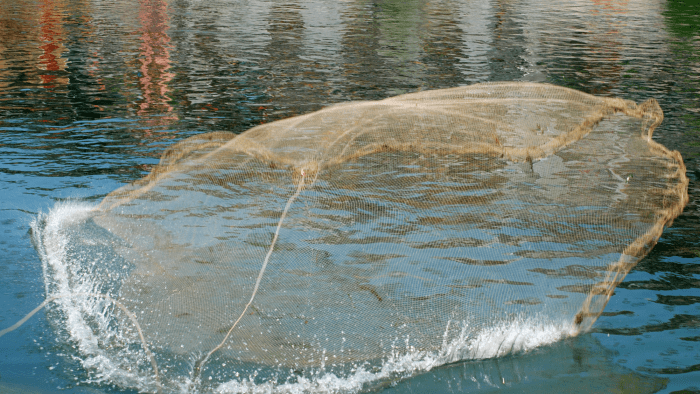 How to Repair Holes in a Cast Net - HubPages