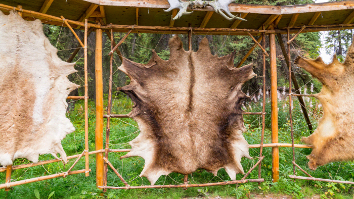 How to Easily Flesh a Hide for Tanning - HubPages