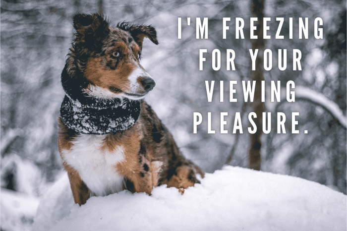 150+ Cold Weather Quotes and Caption Ideas for Instagram - HubPages