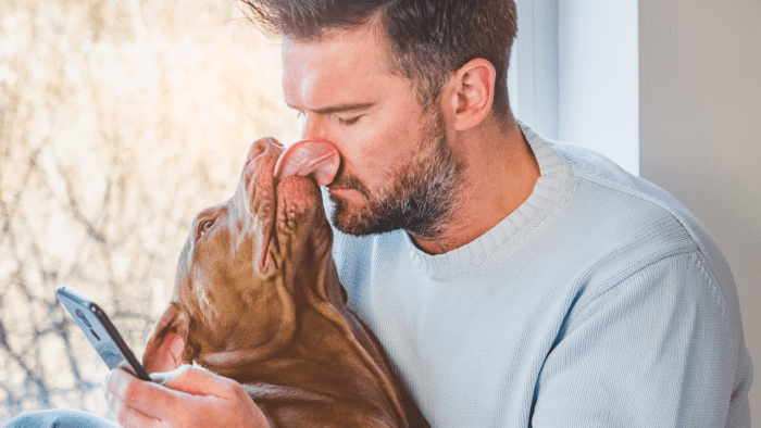Why Does My Dog Lick My Face Aggressively? - HubPages