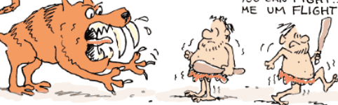 Fight or Fight: The Evolution - HubPages