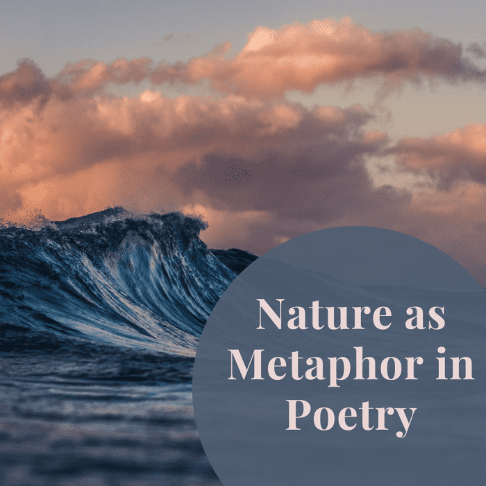 Poetry of Nature: How Physical Laws Are Represented in Metaphors ...